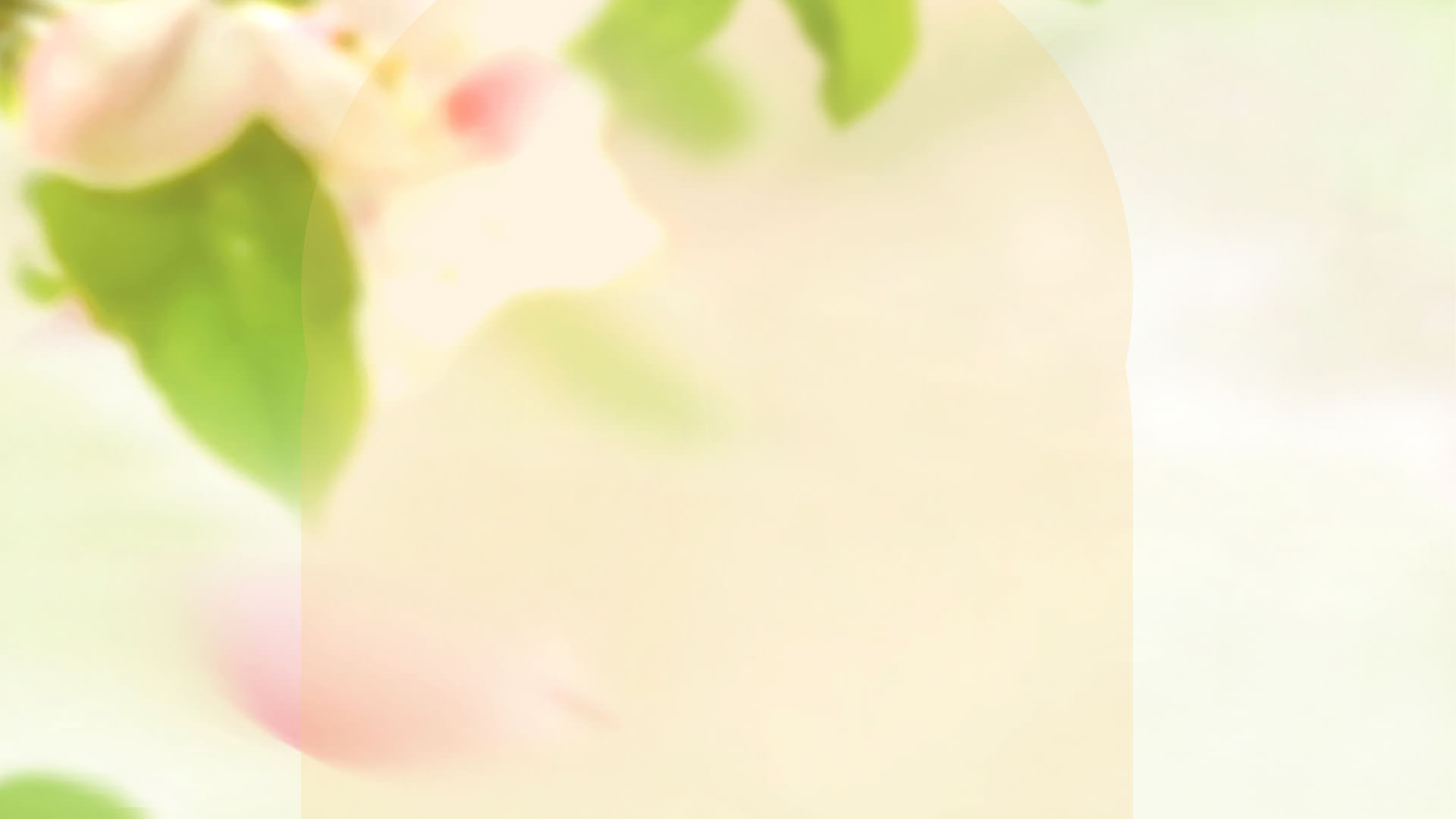 Island Boba Sushi & Poke | Palm Desert, CA | 760-674-7300 – Elevating ...